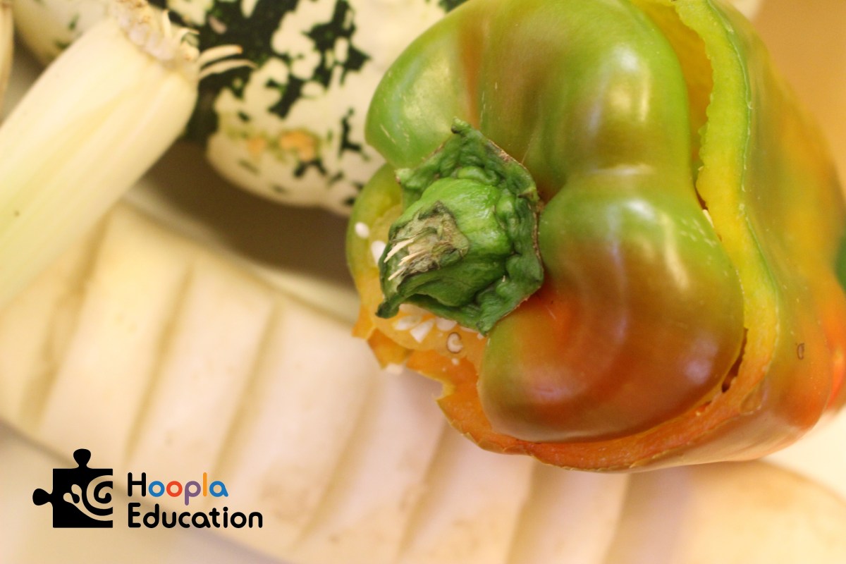 Vegetable Orchestra | The Global Classroom